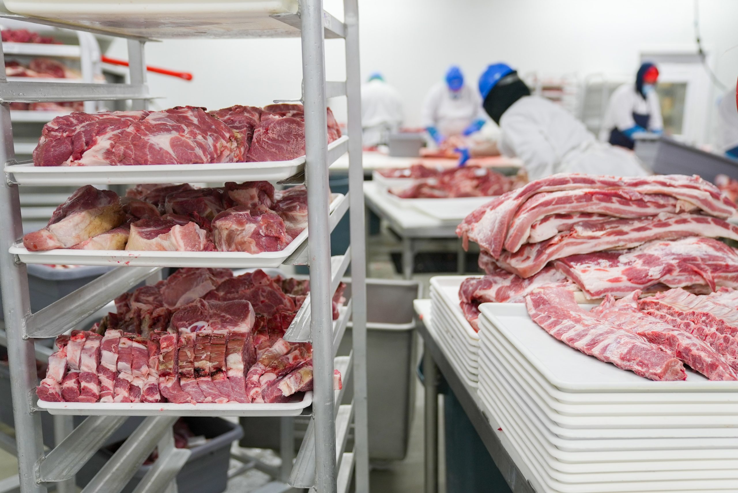 Bale Arm Containers Help Meat Distrbutor | Logistic Packaging